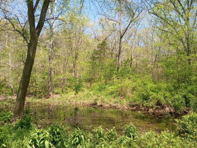 000 Timber Circle