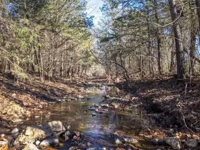 000 TIMBERCREST ROAD, VIOLA, AR 72583