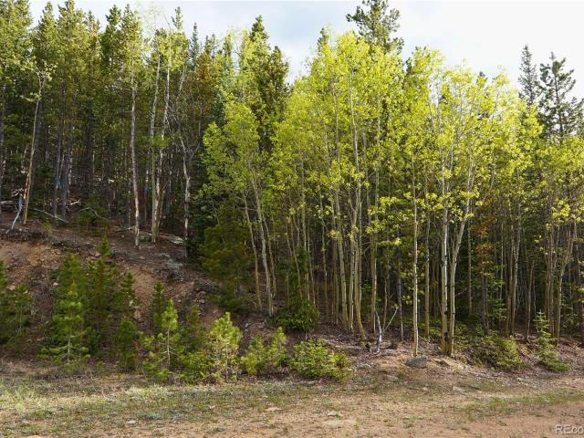 000 Trail Creek Road