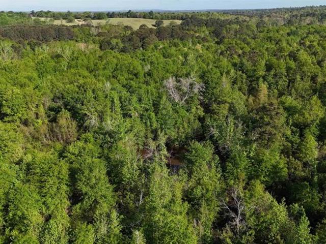 000B County Road 240, Tyler, TX 75705