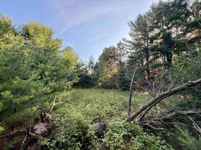 0015 S Westview Drive # Lot: 15