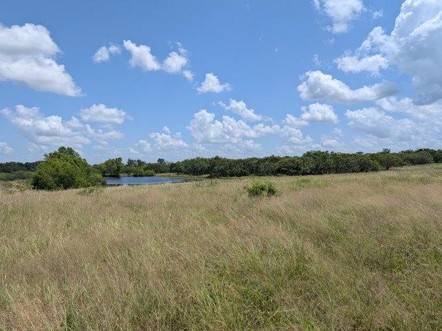 0016 County Road 115, Bedias, TX 77831