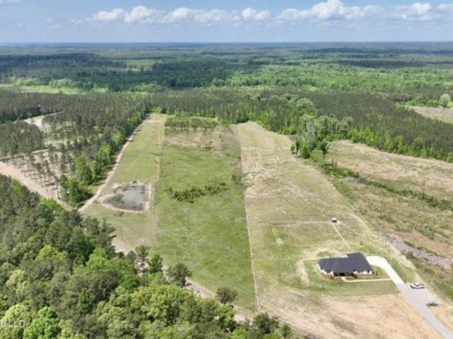 0010 Coal Bluff Rd, Lena, MS 39094