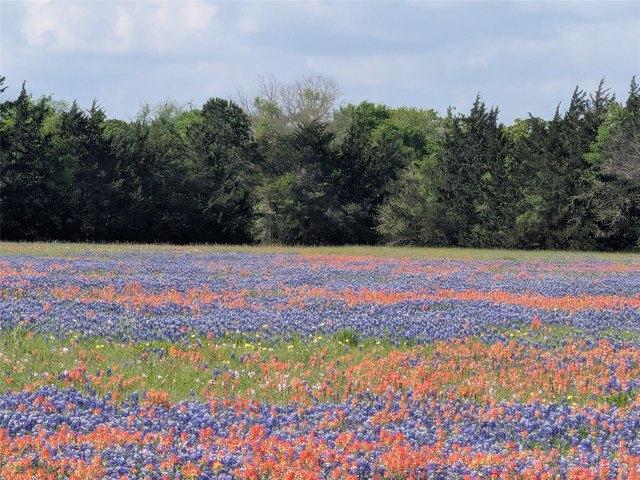 0010 FM 2562 Rd, Anderson, TX 77830