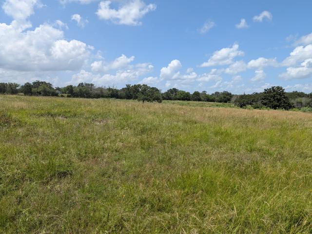 0011 County Road 115