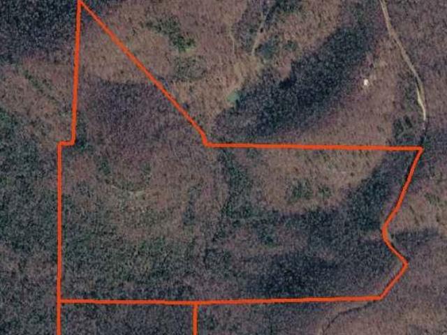 001 00411 Tract 6 Mallard Ter, Yellville, AR 72687
