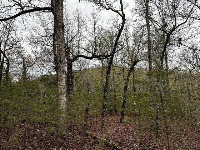 001 00447 Mc # 6037, Yellville, AR