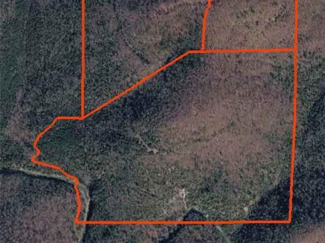 001 00542 Tract 1 Mallard Ter, Yellville, AR 72687