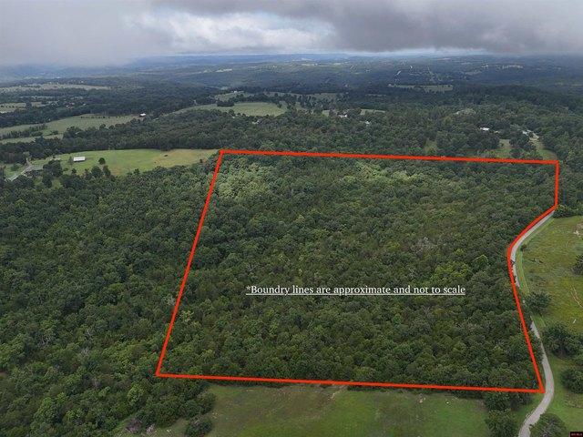 001 01451 Boyd Ln, Mountain Home, AR 72653