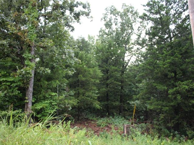 001 02314 Green Forest Trail