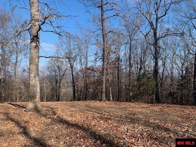 001 04716 Blueberry Ln, Yellville, AR 72687