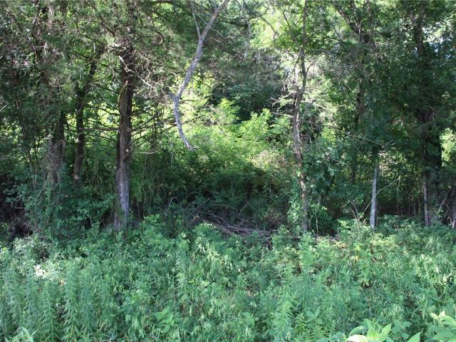 001 08456 W Hwy 62