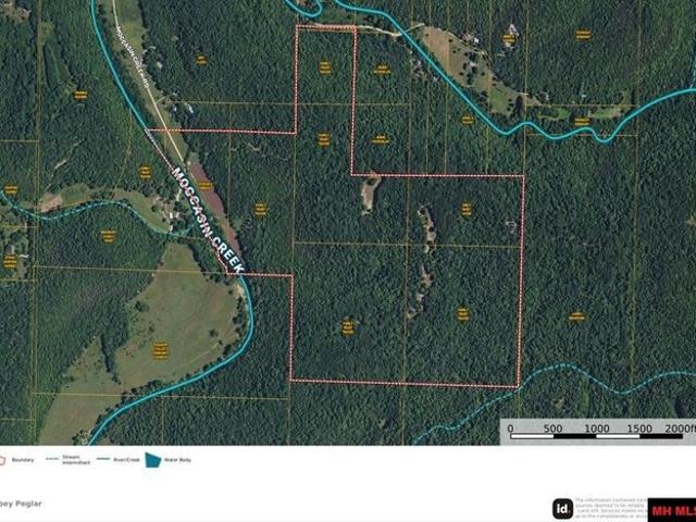 001 08959 Moccasin Creek Rd, Calico Rock, AR 72519