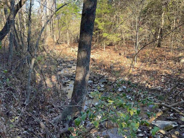 001 08378 W Hwy 62