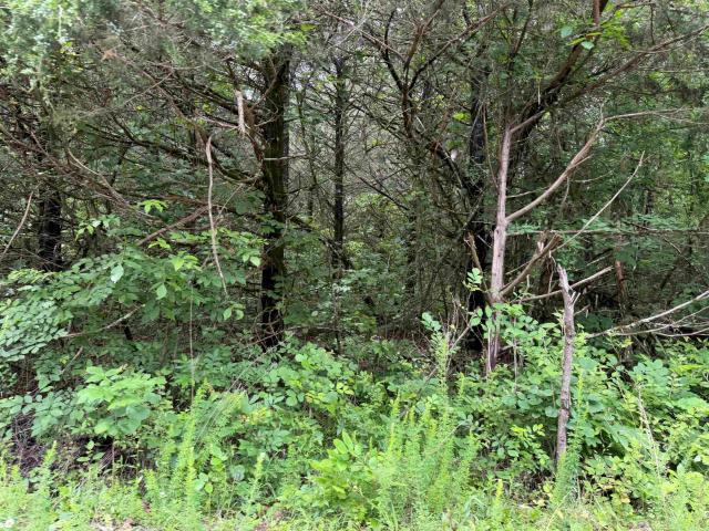 001 Clark Lane