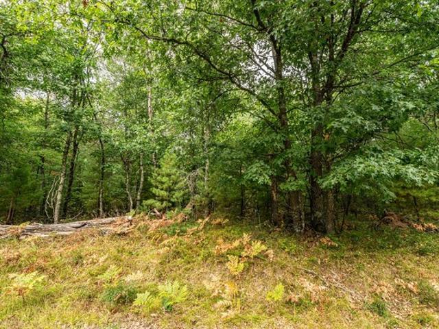 001 Birch Lake Rd, Barnes, WI 54873