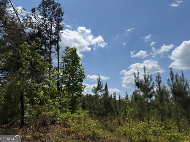 001 George Milling Rd