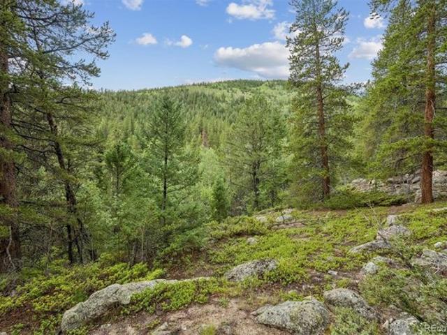 001 Fall River Rd, Idaho Springs, CO 80452