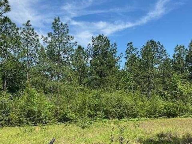 001 Hwy 13, Lumberton, MS 39455 641719767
