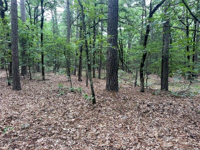 001 Johns Valley Rd, Moyers, OK 74557