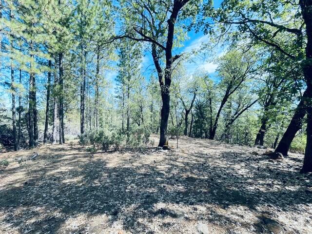 001 Oak Run Road