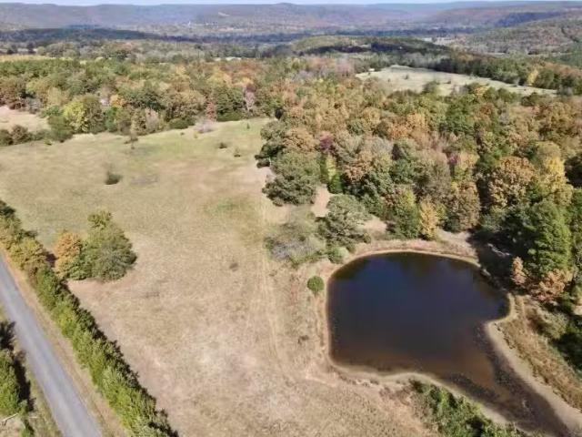 001 OVERTON ROAD ROAD, SHIRLEY, AR 72153 Vacant Land For Sale.