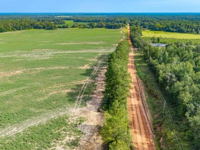 001 Morrison Rd, Whigham, GA 39897