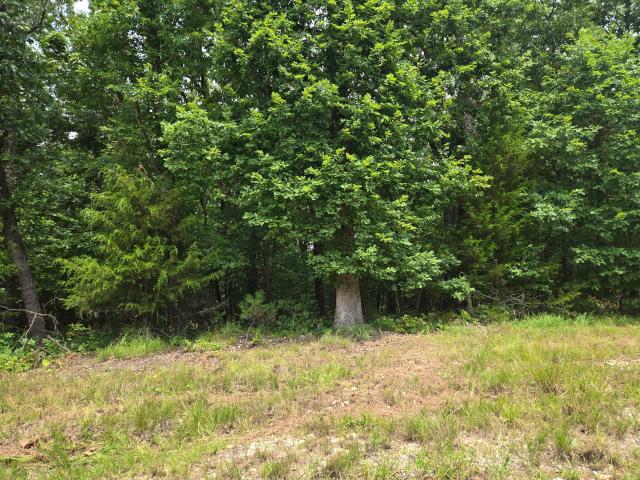 001 Muleshoe Trail
