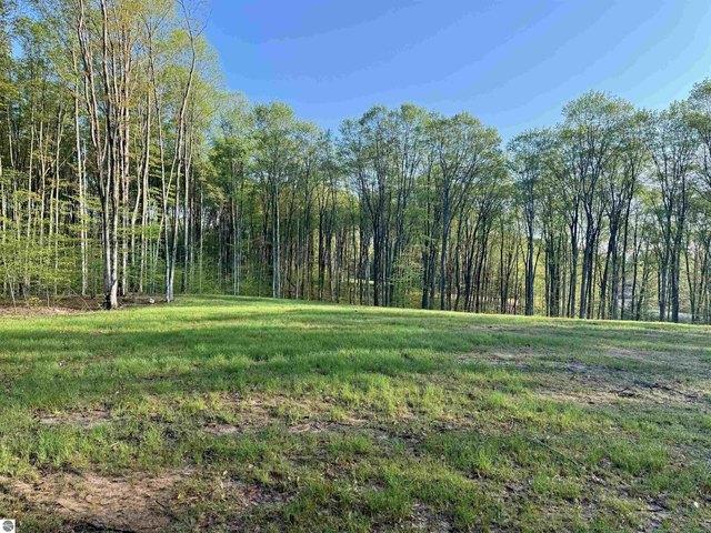 001 S Bright Rd, Maple City, MI 49664
