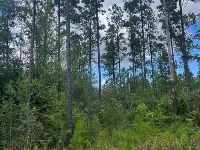 001 Sage Forest Ln, Pace, FL 32571 MLS 647743