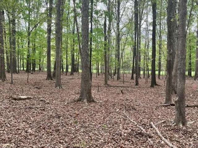 001 Wolf Pond Rd, Monroe, NC 28112