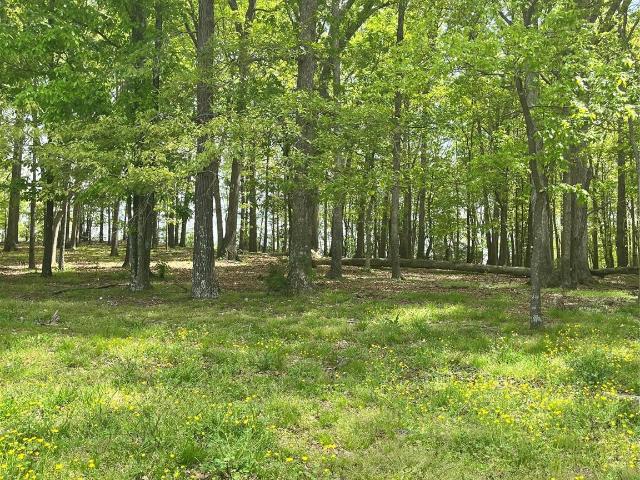 001 Wolf Pond Road