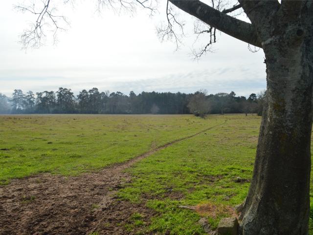 001 Wiggins, Conroe, TX 77302 | MLS #67068 | Compass