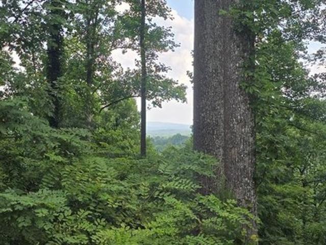 001 Winding Rdg, Blairsville, CA 30512
