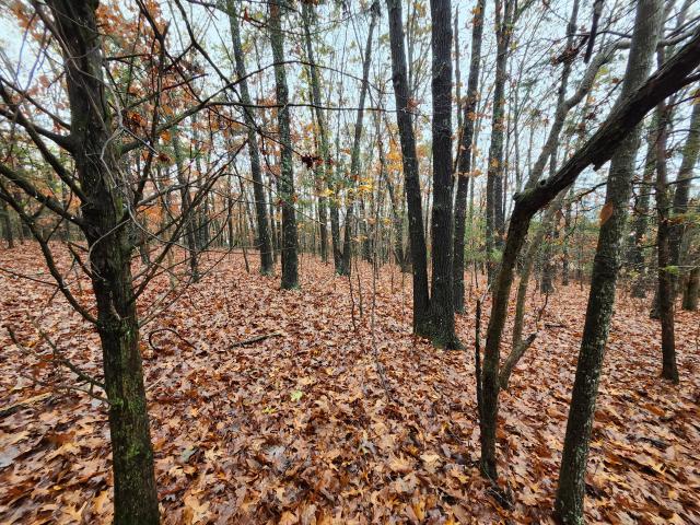 001 Tbd Emery Road