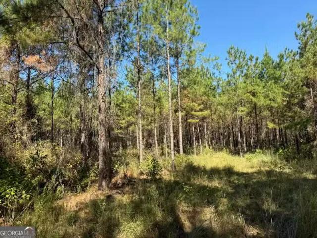 0020 BARNES ROAD, GORDON, AL 36343