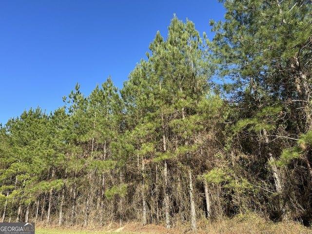 0021 Barnes Rd, Gordon, AL 36343