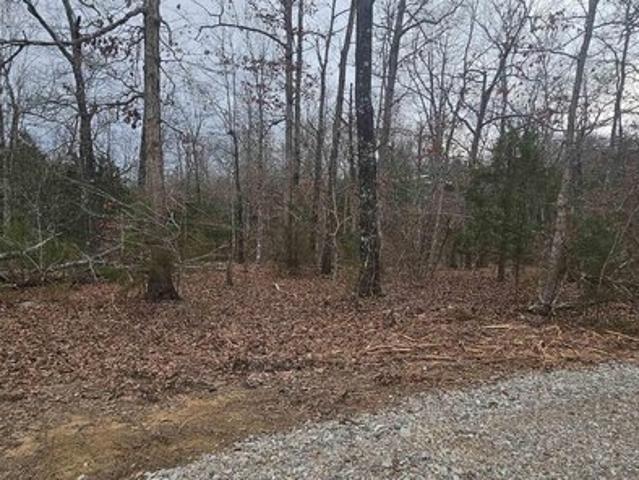002 08164 County Road 146, Henderson, AR 72544