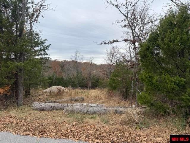 002 10735 Wildwood Cir, Mountain Home, AR 72653