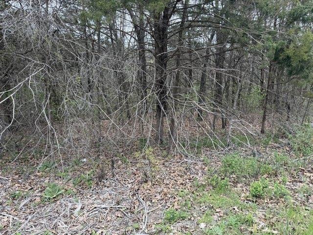 002 Holiday Hills Dr, Cape Fair, MO 65624