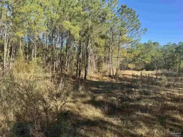 002 OIL WELL RD, FLOMATON, AL 36441 Vacant Land For Sale MLS#.