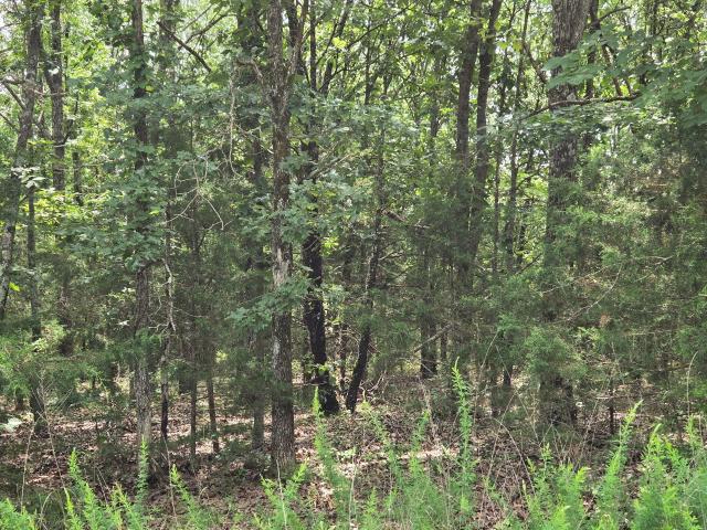 002 Muleshoe Trail # 002