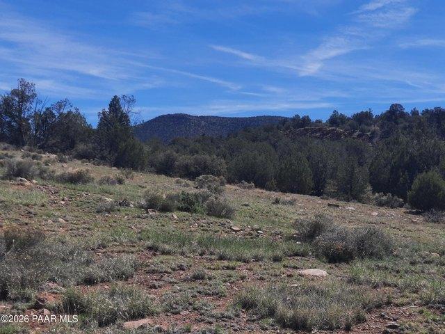 003V Fort Rock Rd, Seligman, AZ 86337