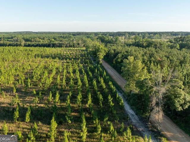 003 Beulah Tract Rd # 3, Sylvania, GA 30467
