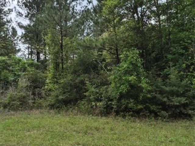 003 E Tbd Schwab / Sh Rd # 146, Livingston, TX 77351