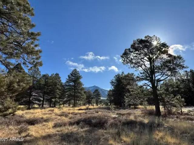003 Hart Prairie Rd #, Flagstaff, AZ 86001 MLS 6818361