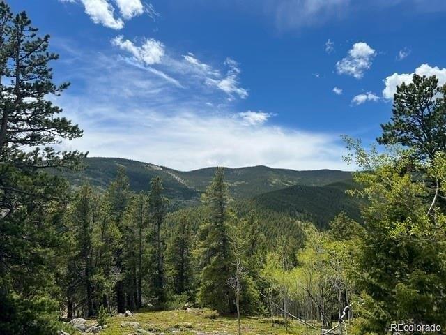 003 Sunny Skies Trl, Idaho Springs, CO 80452