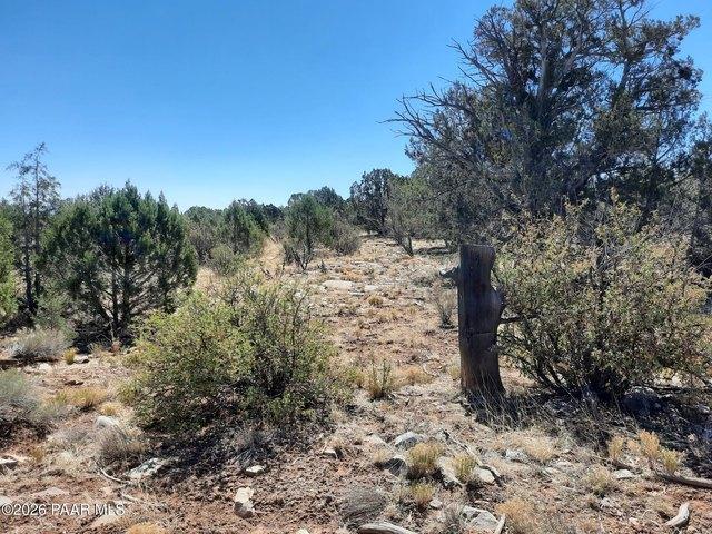 003J Duffy Rd, Seligman, AZ 86337