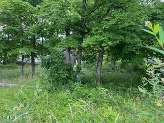 0047 Wild Rose Ln, Johnson City, TN 37601