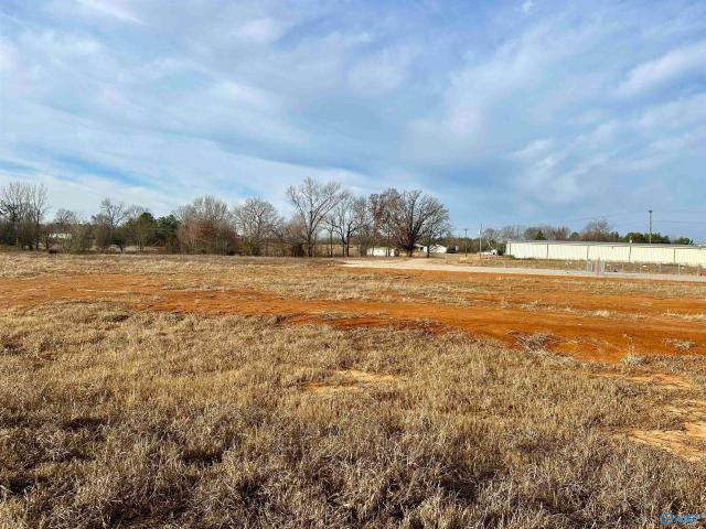 0048 Alabama Highway 24